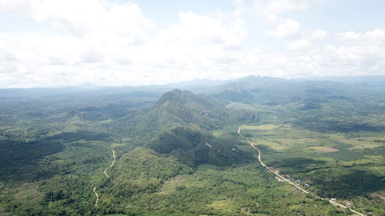 PATTIRO - Synergy for Change