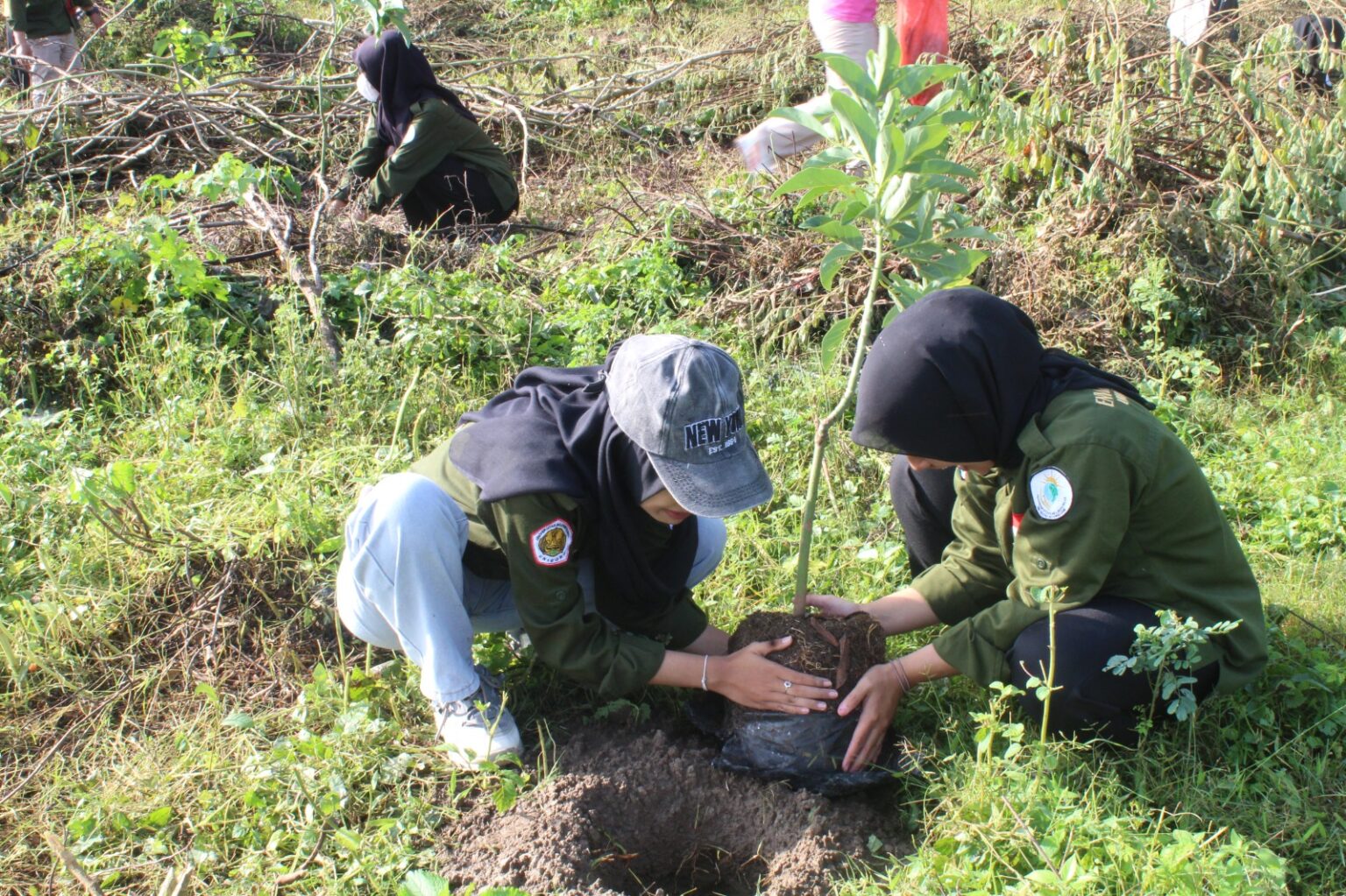 PATTIRO - Synergy for Change - Synergy for Change